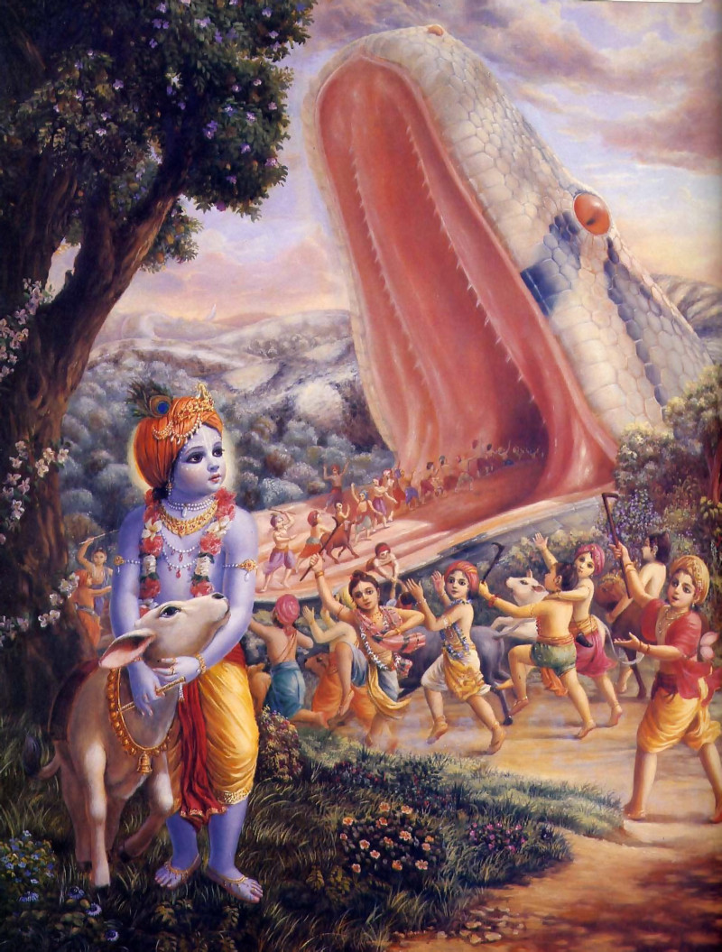 Krishna Kills the Great Python Aghasura – Back to Godhead